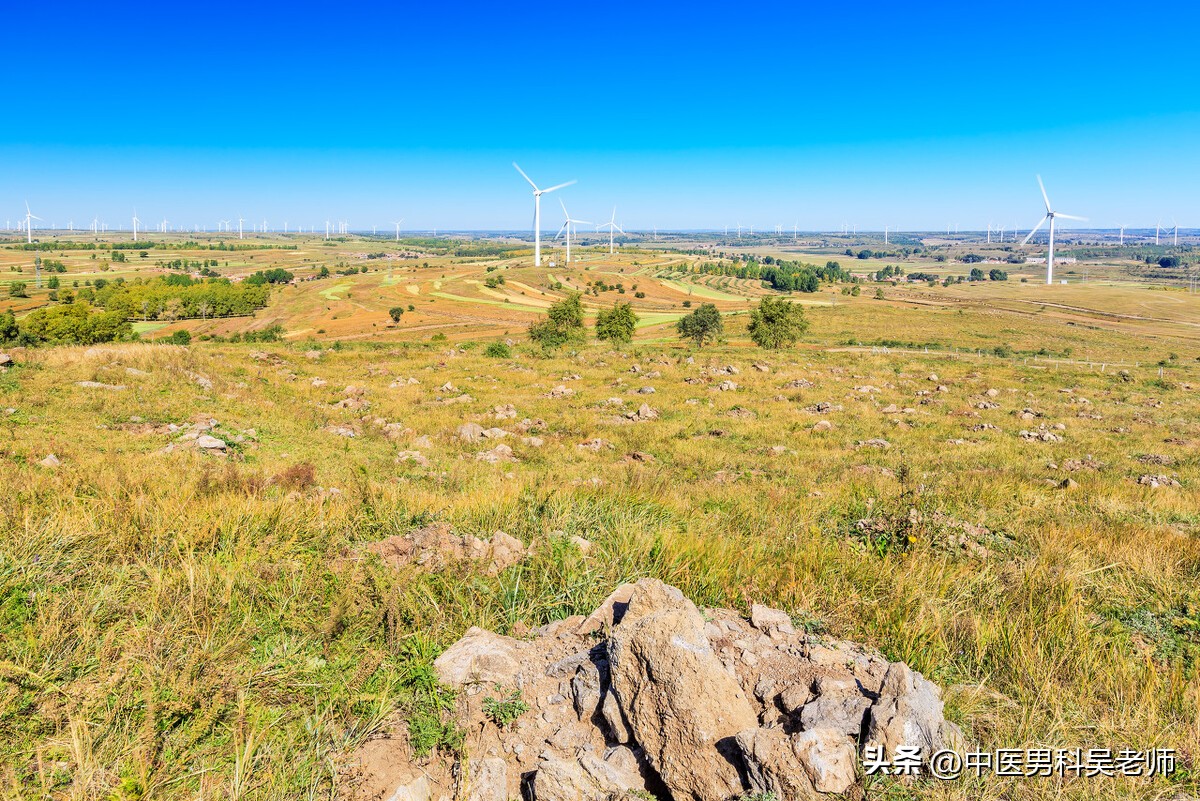 Severe deficiency of yang qi, fear of cold and cold, one side ...