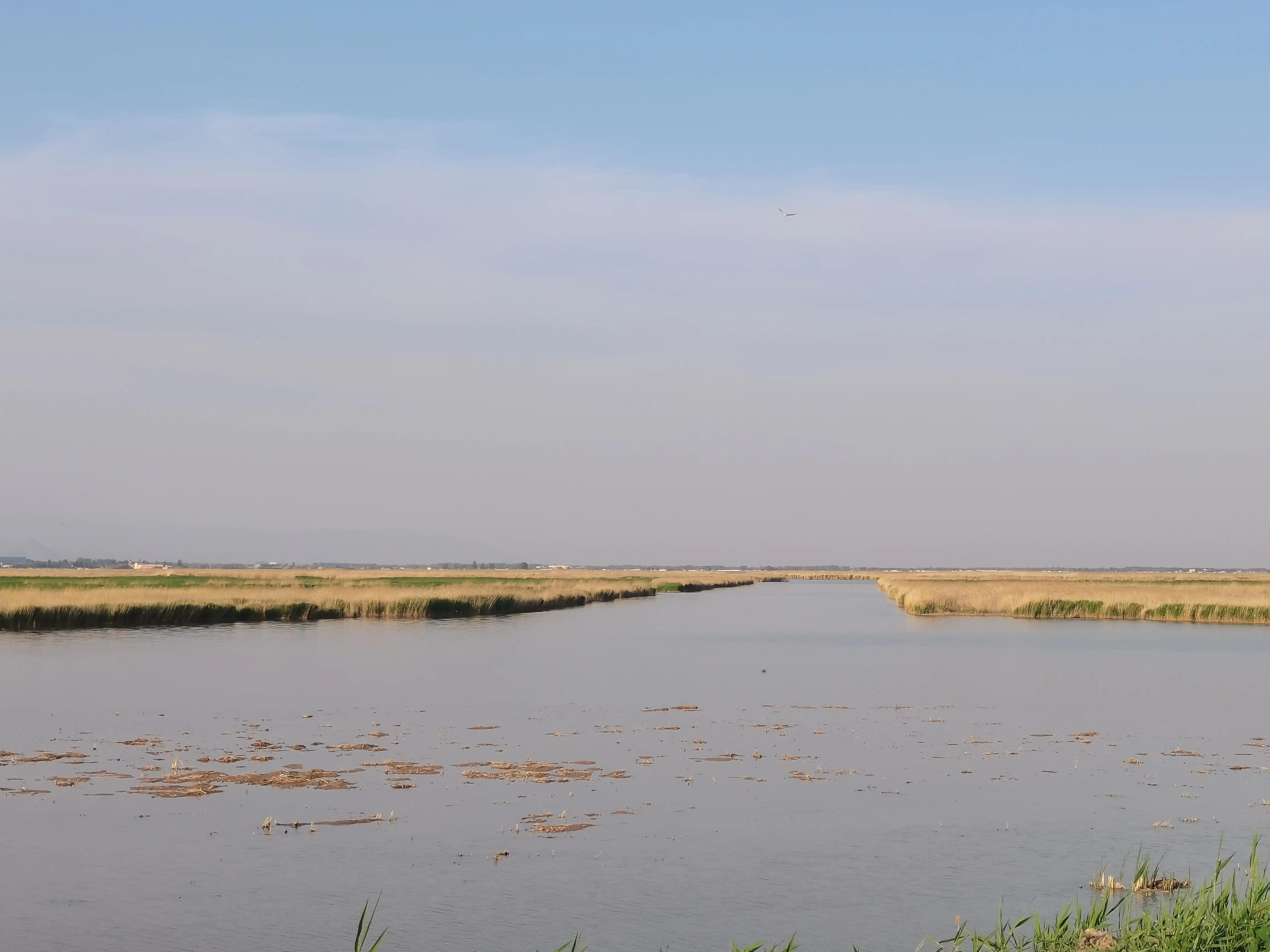 The Water of Hasuhai (by Zhao Shuibiao) - iNEWS