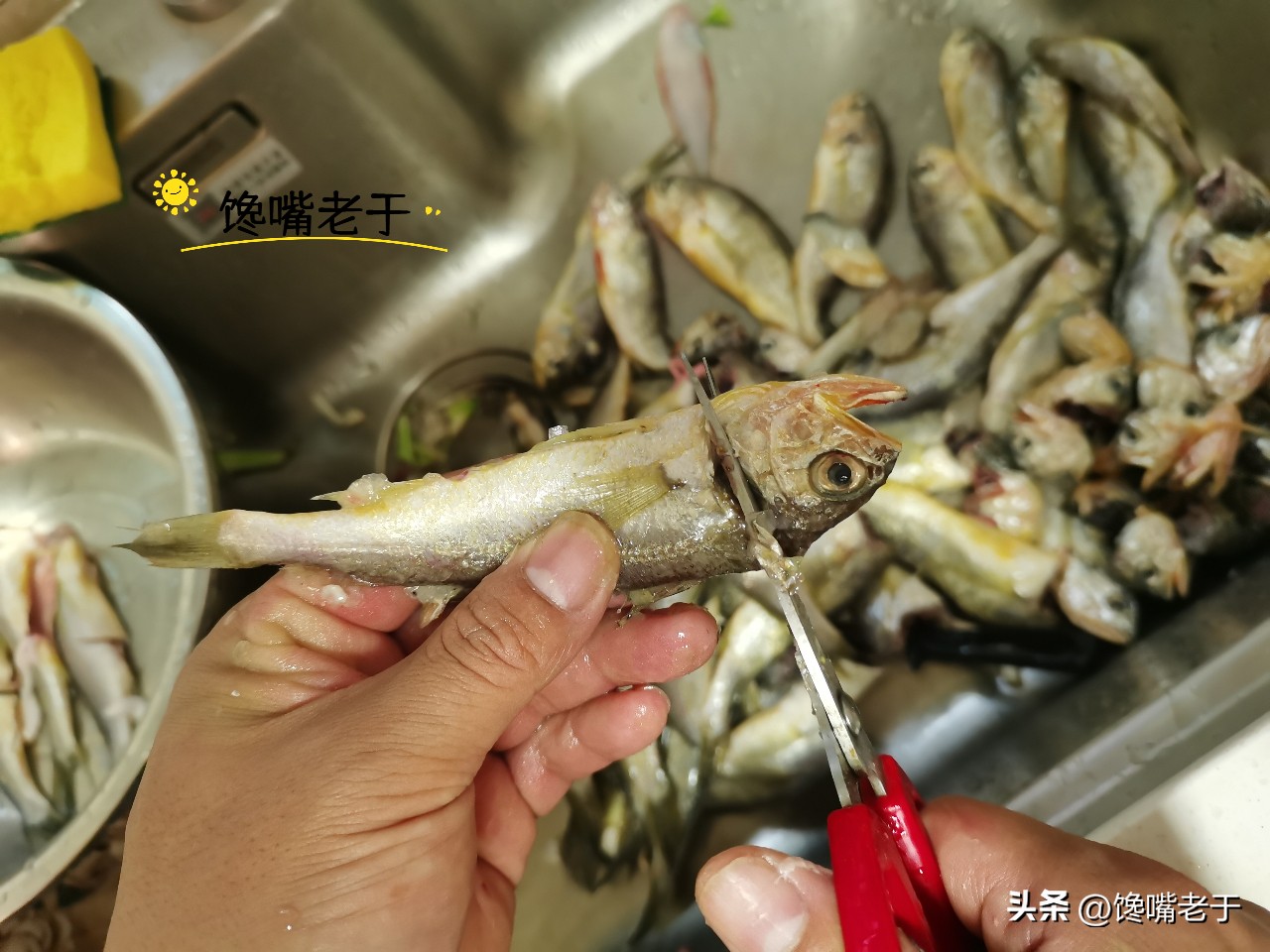 Fish to eat in spring: knowledgeable people pick these 5 kinds of fish ...