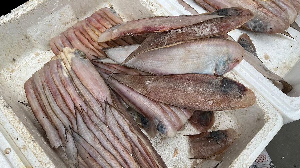 People who know how to eat fish in autumn choose these 4 kinds!The ...