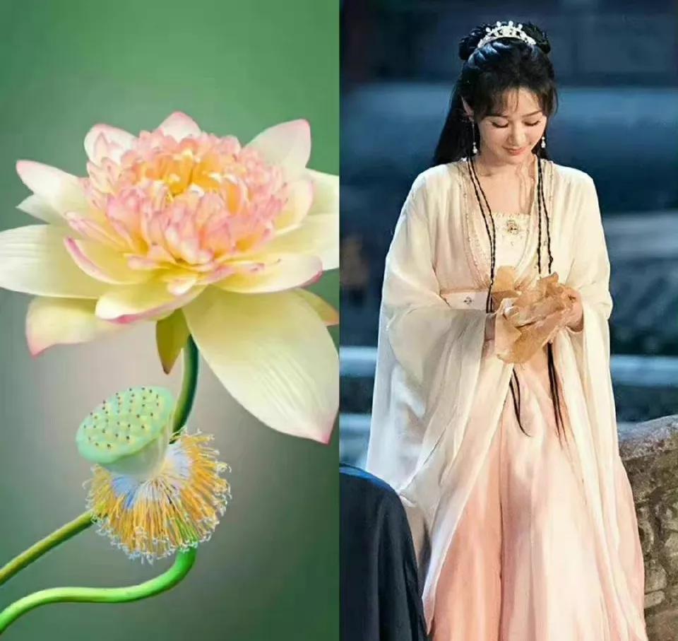 Yang Zi's "Agarwood is like crumbs, agarwood is heavy", Yan Dan's four ...