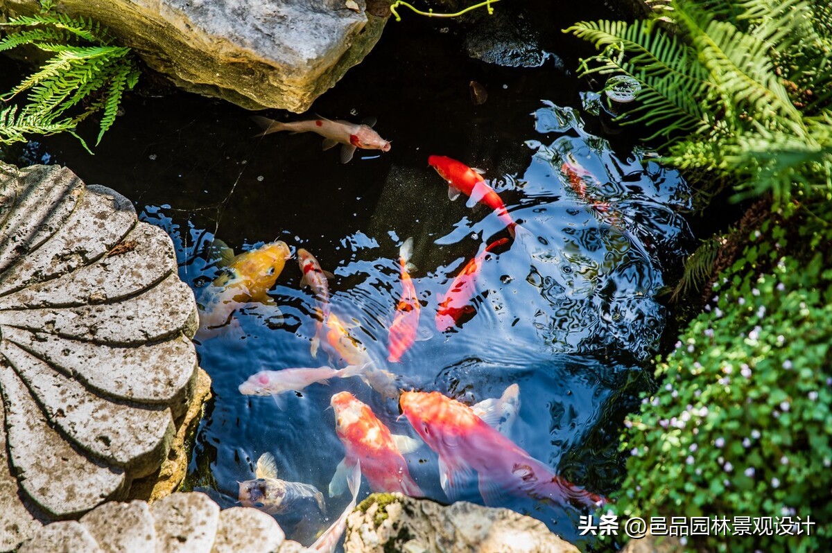 What are the types of water features in garden landscape design? - iMedia