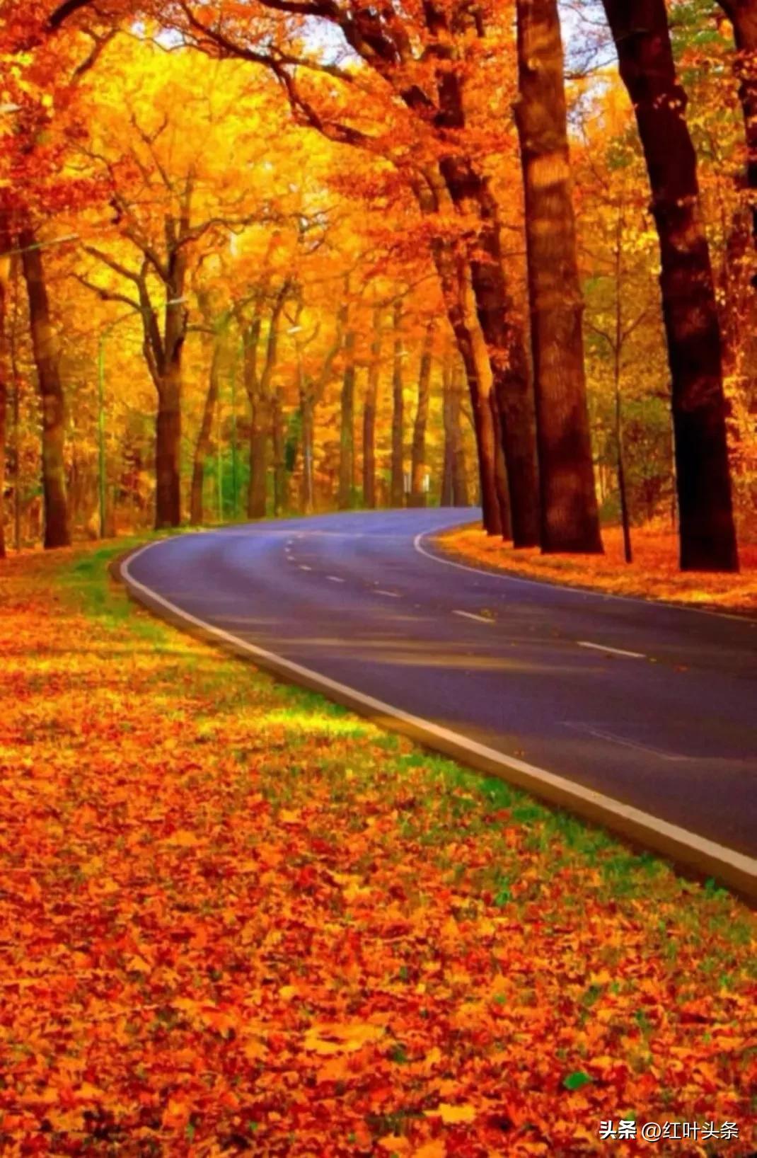 Read Mr. Jia Xixin's "On the Six Poems" and realize the seventeen poems ...