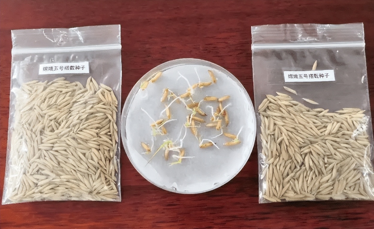 "Going to the sky" and "going to the ground", how powerful are space ...