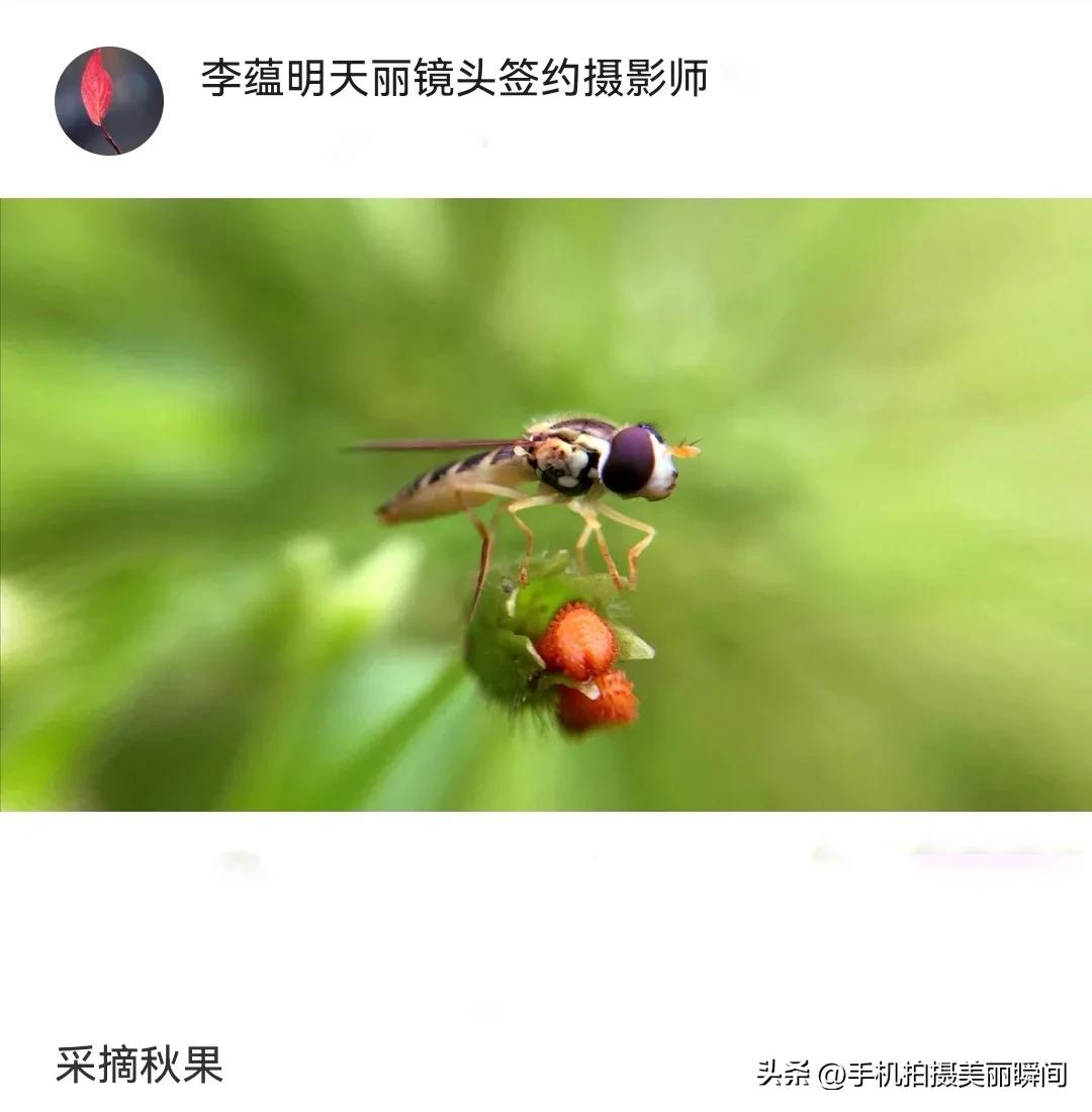 Mobile photography works enter the photography platform selection - iNEWS