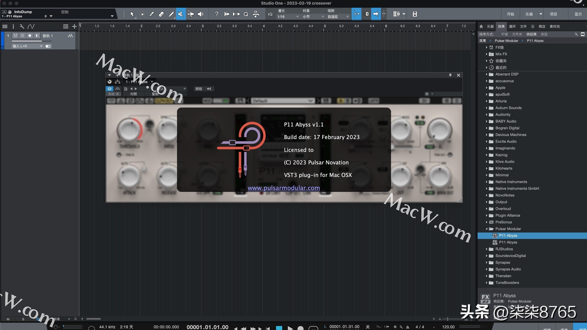 Pulsar Modular P11 Abyss for Mac(音頻壓縮器) - 資訊咖