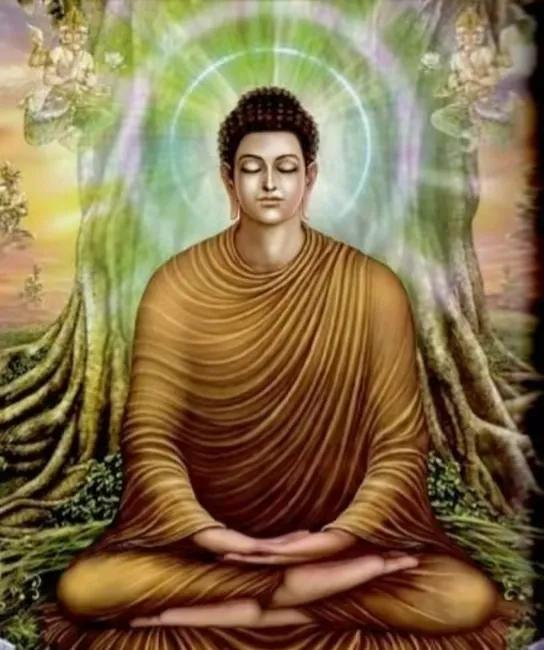 Read "Siddhartha" and realize your own life - iNEWS