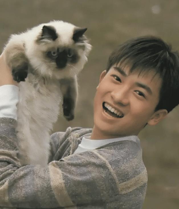 Lin Zhiying has changed, Chen Kun has hair on his cheeks, Huang ...