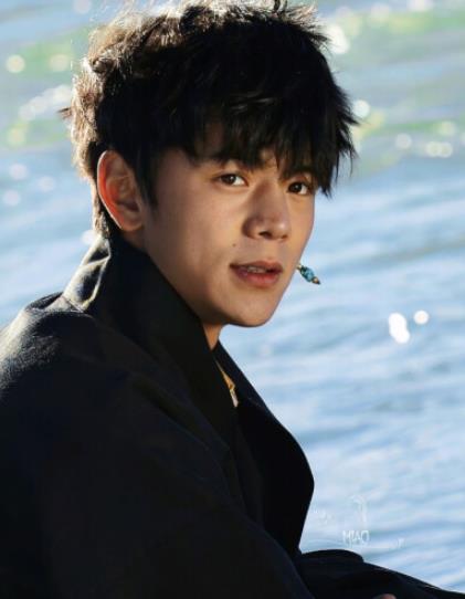 In the two years since Ding Zhen became famous, his career as a ...