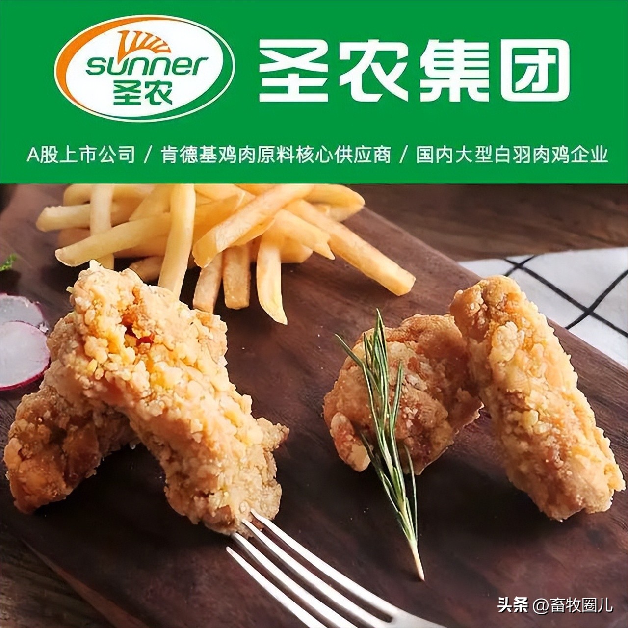 Sunner Group won multiple awards from iSEE - iMedia