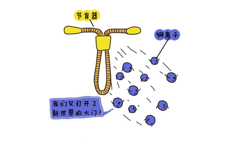 The "birth control ring" in many women has been forgotten, remind ...