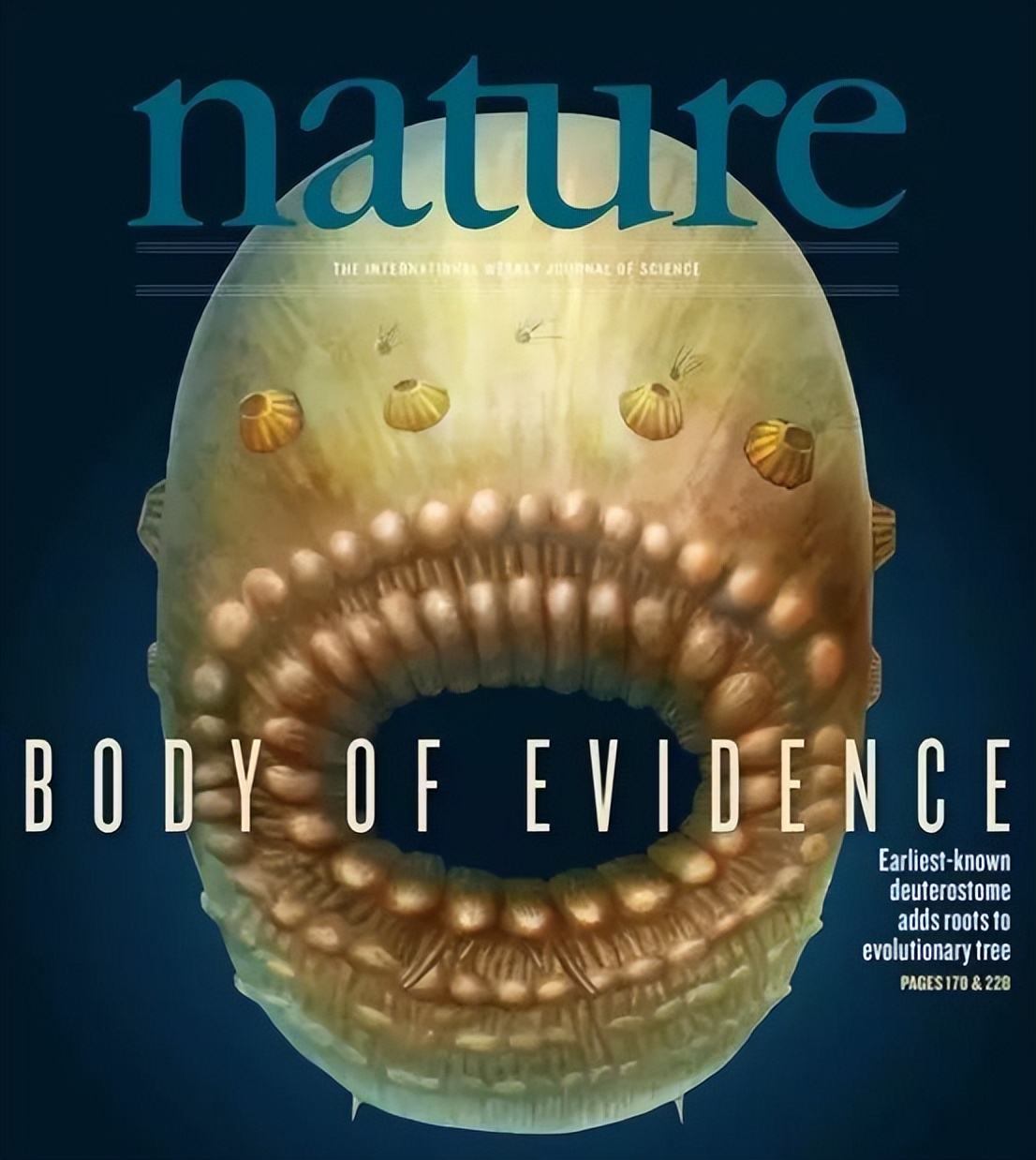 Human ancestors were eaten as snacks by insect ancestors for hundreds ...