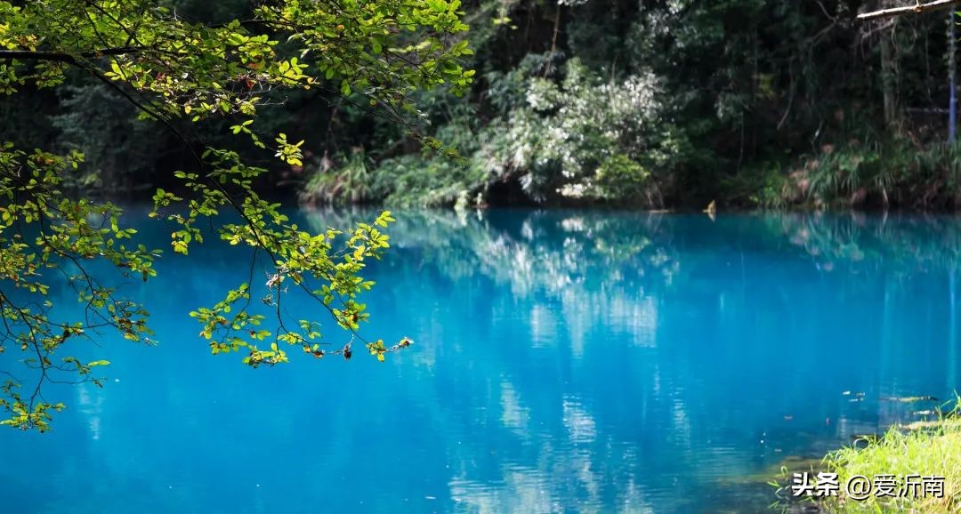 5 beautiful little poems, extremely gentle, unforgettable after reading ...