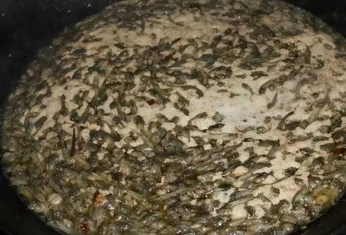 Spicy tadpoles, and tadpole omelette, tadpole delicacy in this place ...