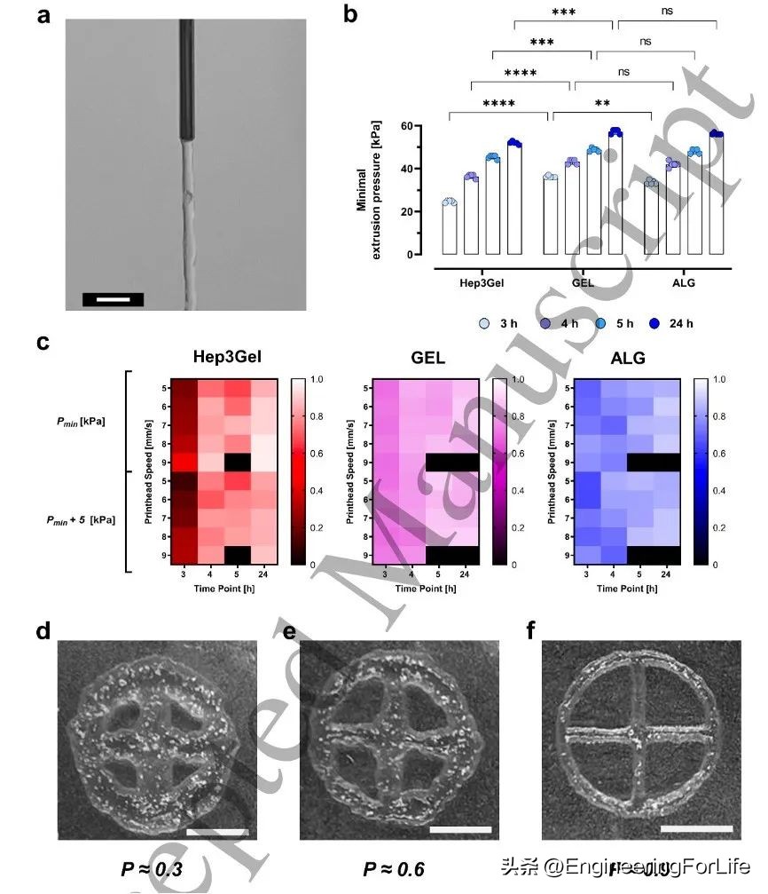 Change the cross-linking strategy! Printing Sodium Alginate Bio-Ink ...