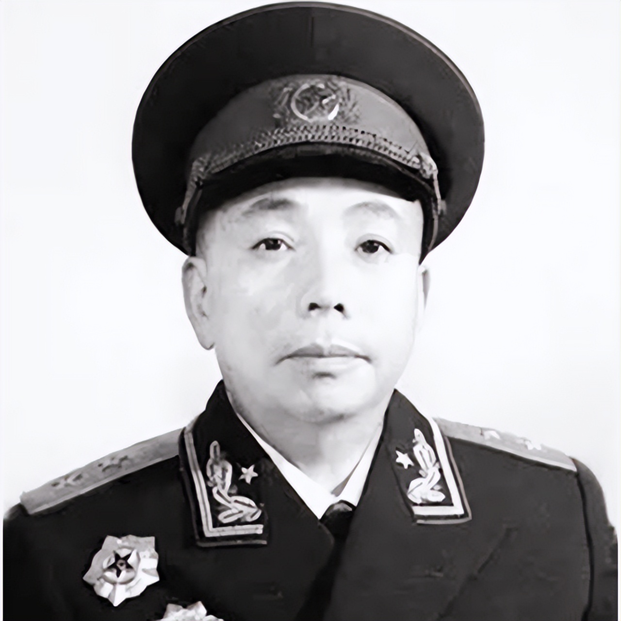 Why did Liu Shaoqi and Peng Dehuai both mention this person at the ...