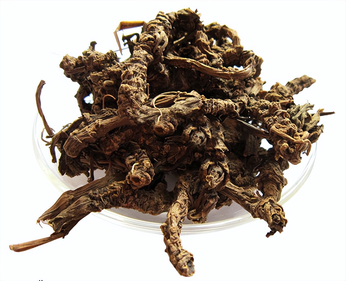 Take you to identify the spider incense - iNEWS