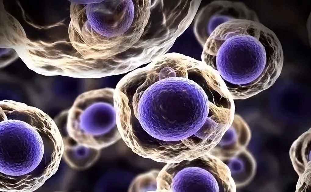 Cell health = physical health, remember the three elements of cell ...