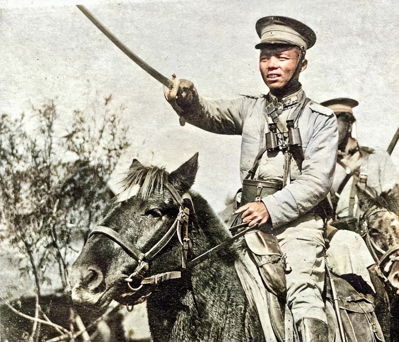 What organization and training methods were adopted by the new army ...