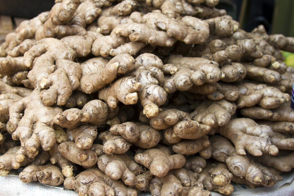 Yellow ginger rushes back to the carbine, how will the price of new ...
