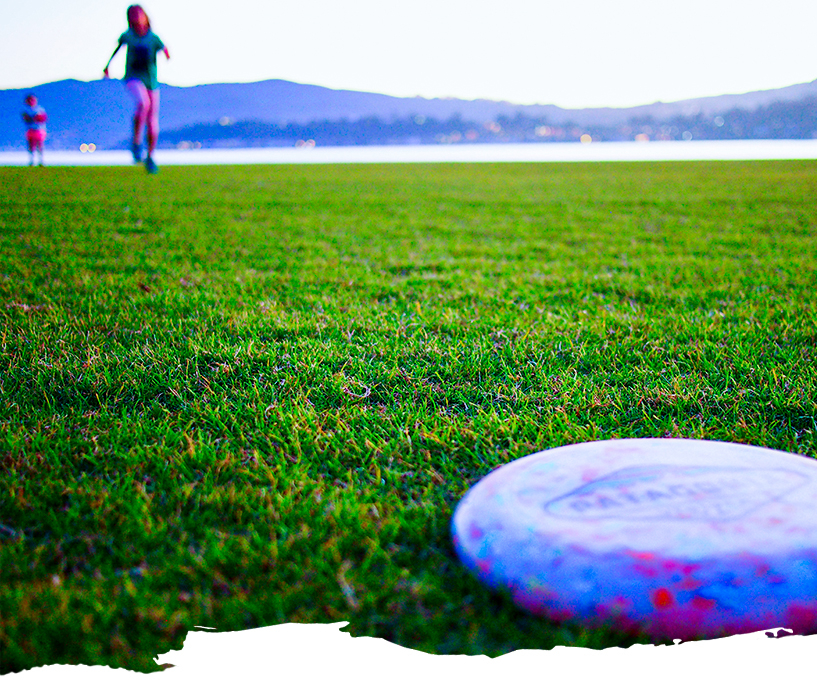 Why has Frisbee become a "decompression artifact" for contemporary ...