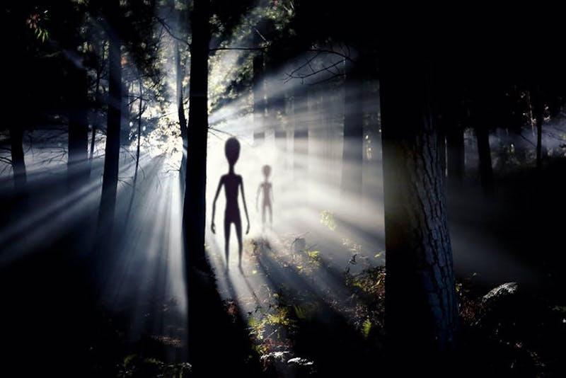 Did humans really evolve? Are we intentionally created by a higher ...
