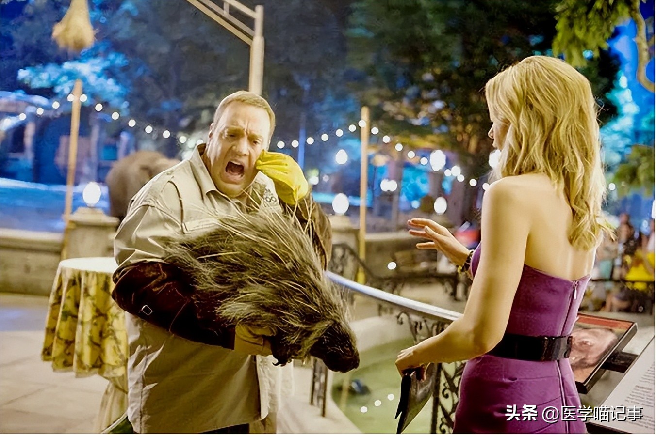 The Emotional Resonance Between Animal Characters and Protagonist ...