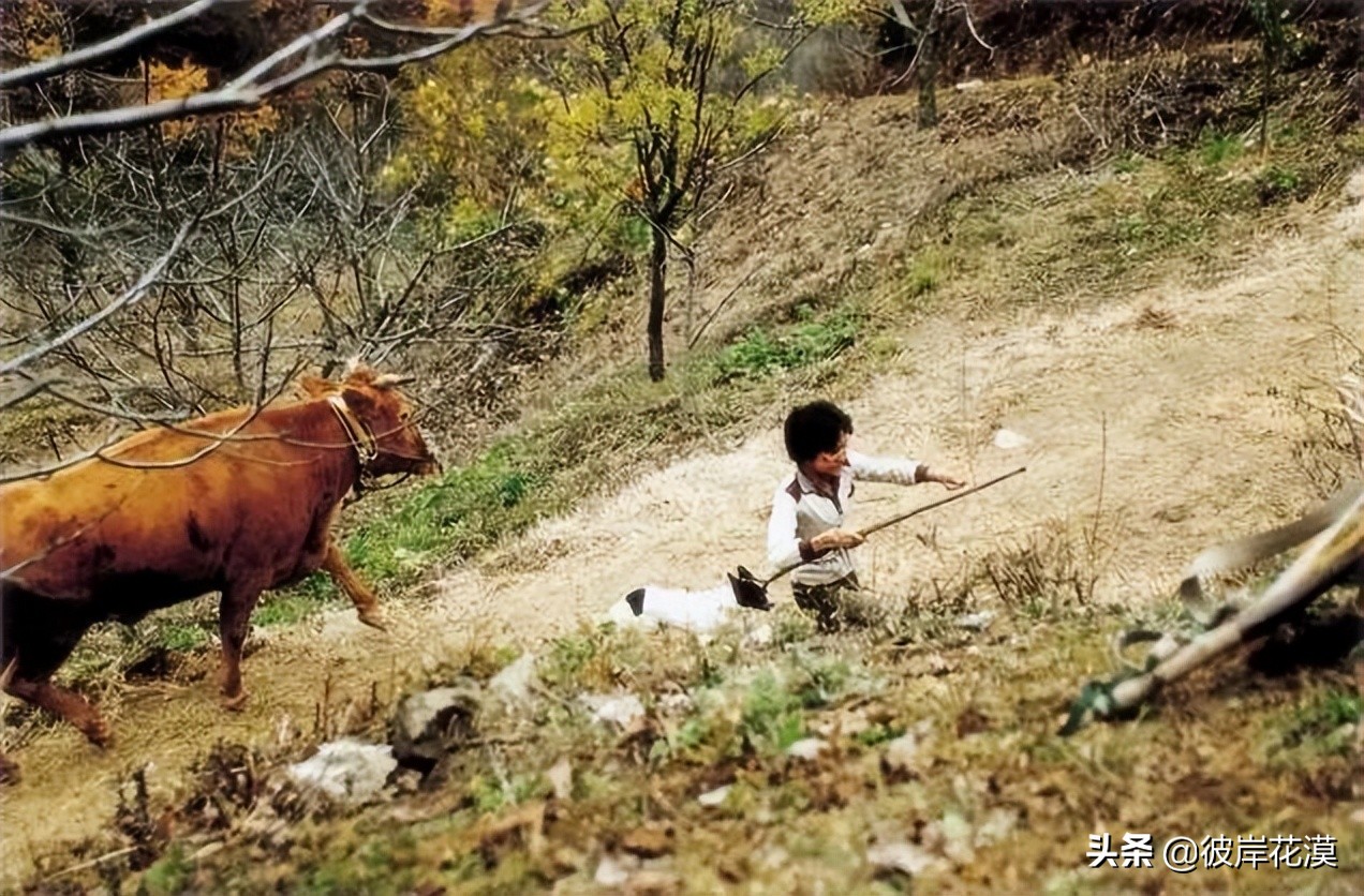 "Love, Go Home": Douban 9.1, wordless love, for grandma all over the ...