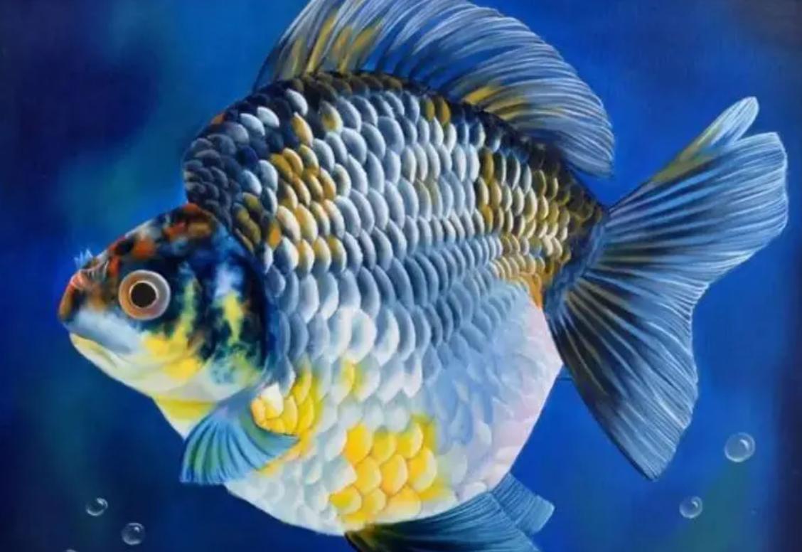 Do you know how fish "see", "hear" and "touch" in water? by these small ...