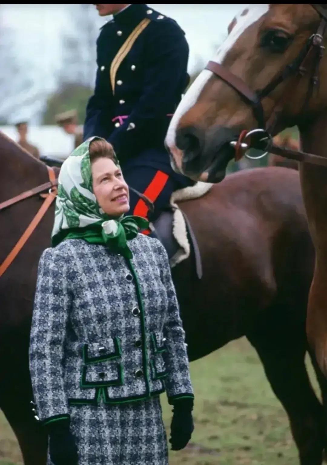 Queen's Turban - iNEWS