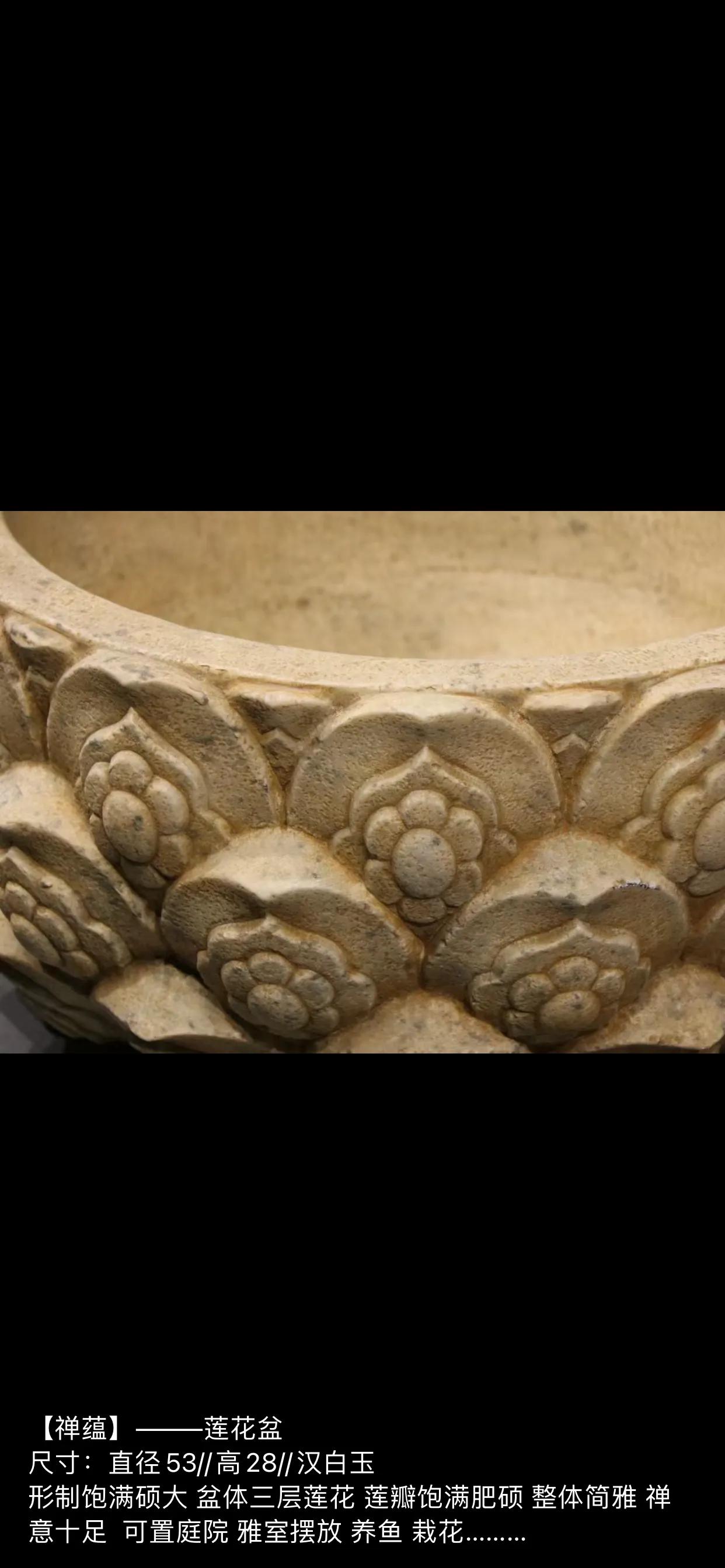 [Zen Yun]——Lotus Pot - iMedia