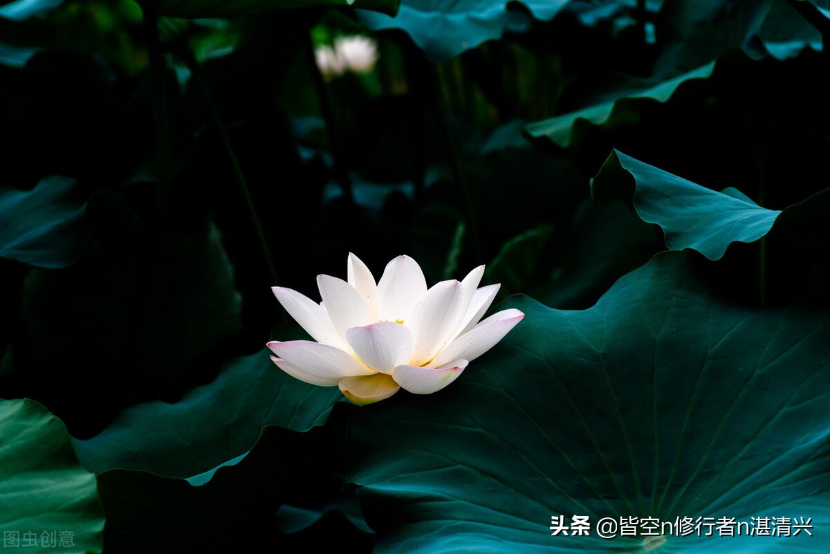 "Ming Xue" - Interpretation of the fixed number of life - iNEWS