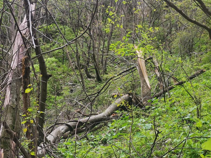 Kuyu Taixing Mountain Iron Temple - iNEWS
