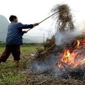 It is said that the disaster of banning straw burning! - iMedia