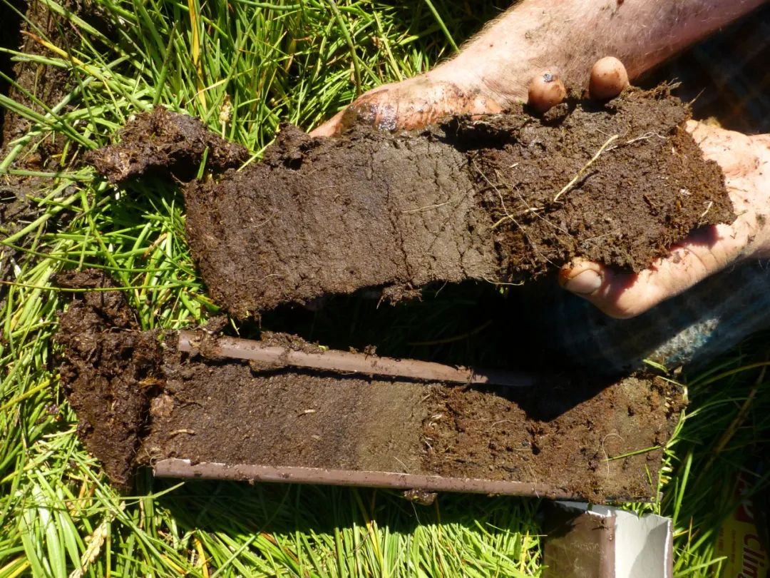 The first domestically made peat whisky, have you ever tried it? - iNEWS