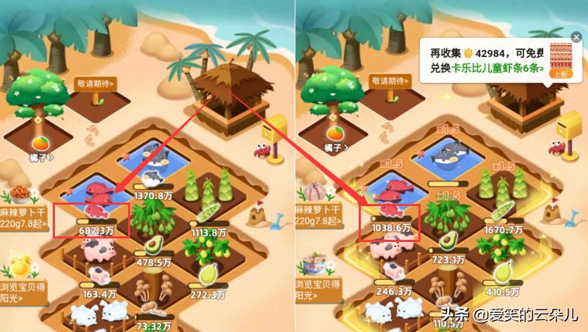 Baba Farm Quick Level Up Skills - iNEWS