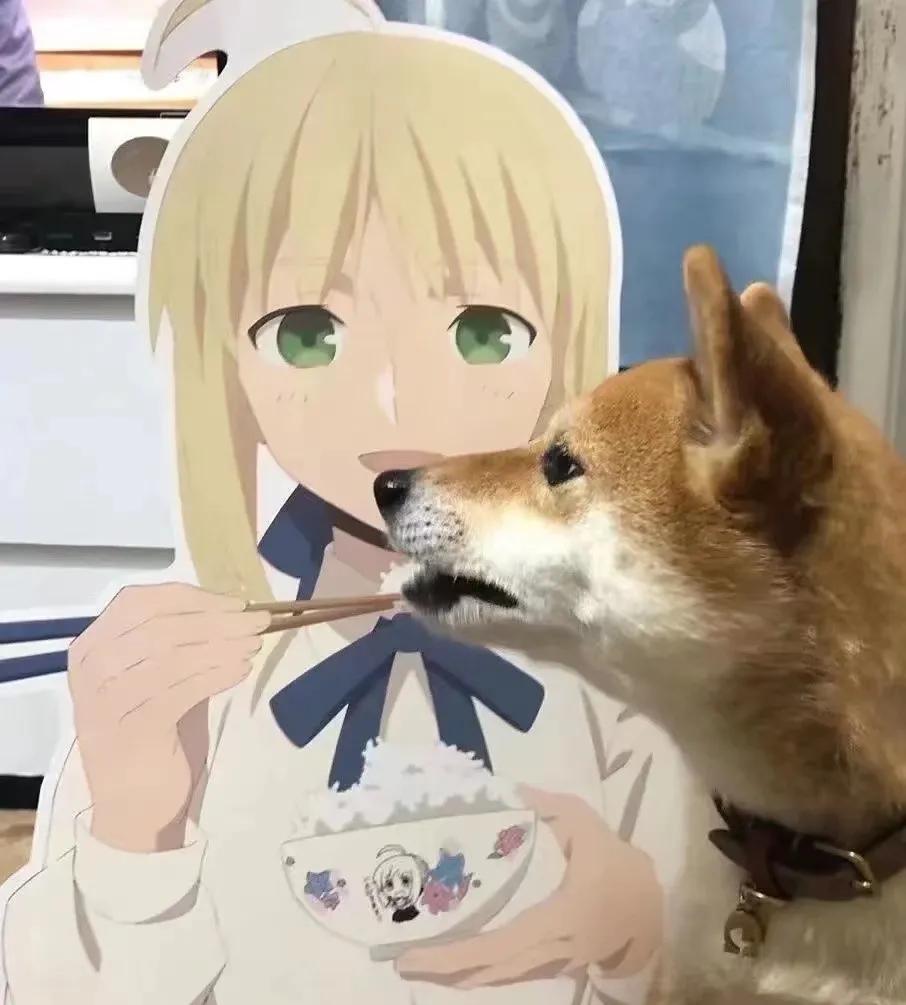 Shiba Inu was deceived by the rice on the humanoid stand, and he could ...