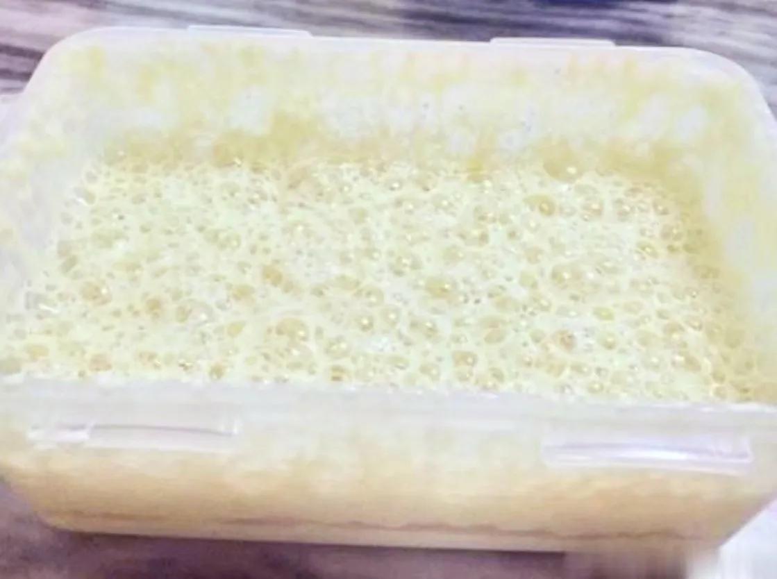 Dough fermentation method + low temperature overnight fermentation ...