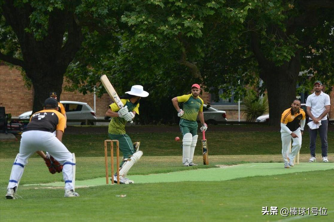 The Development of Cricket in China·No. 1 Cricket - iMedia