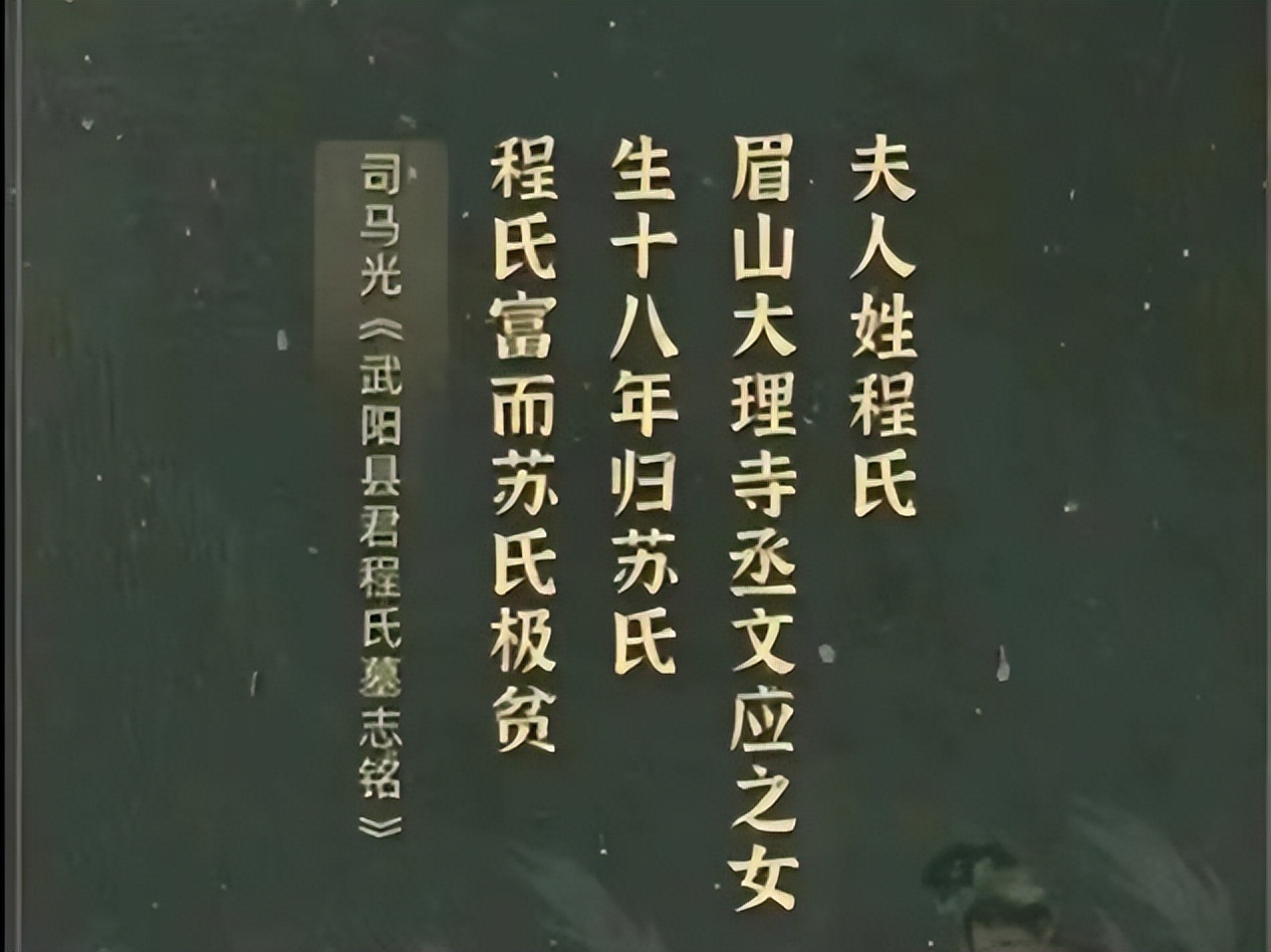 Mrs. Cheng has only done one thing in her life, to support her family ...