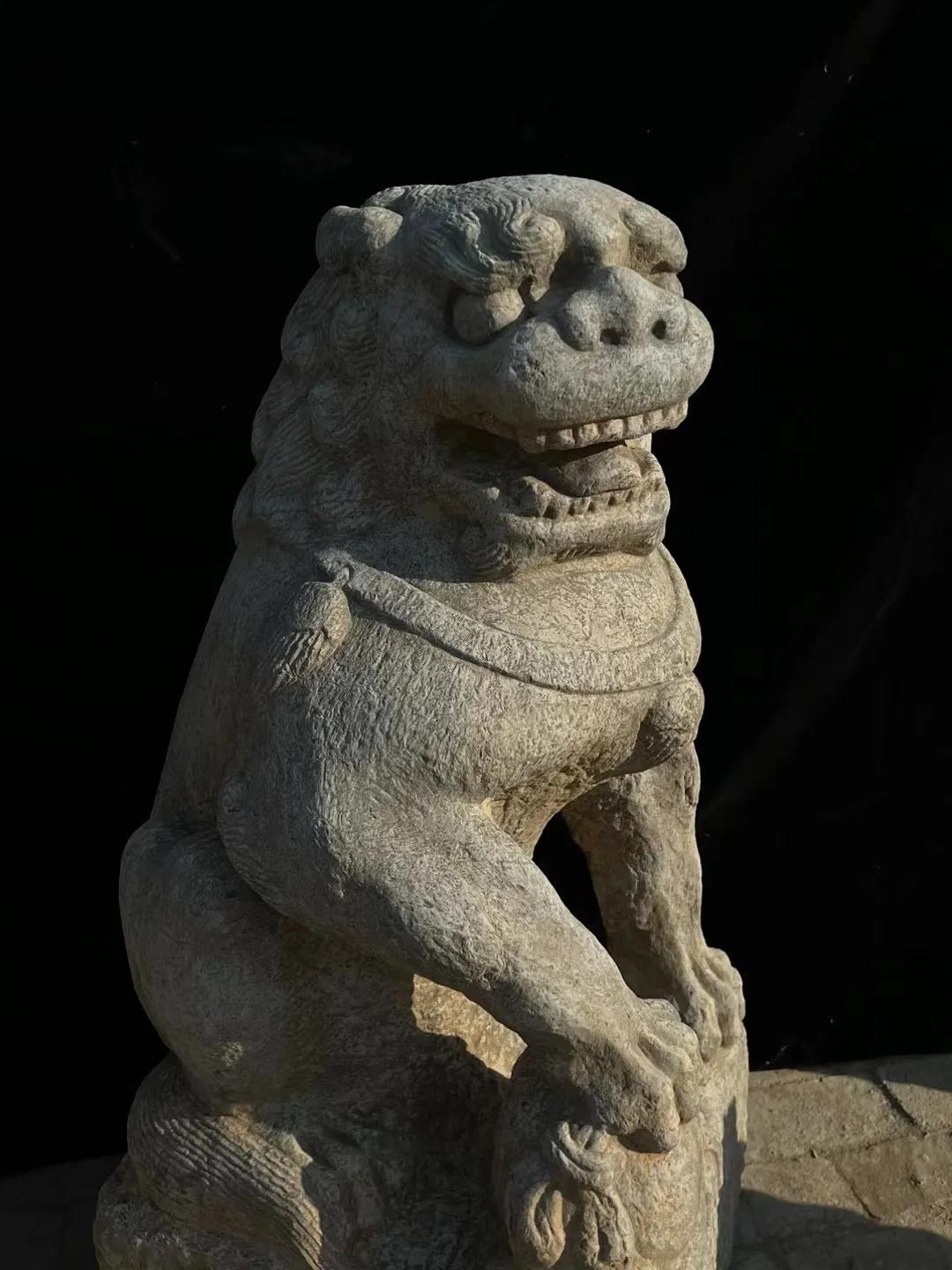 Shi Ming Dynasty Lion - iNEWS