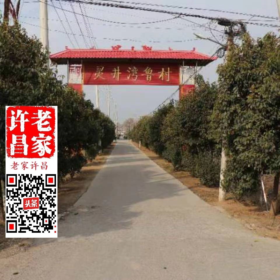 Xuchang Wanlu: There are many heroes in a small village, and the ...