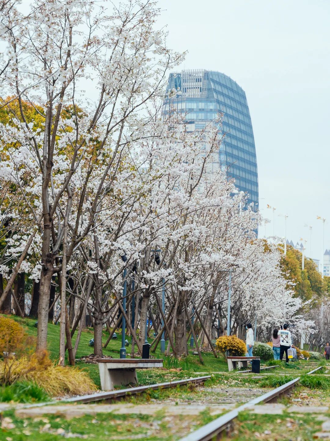 The West Bank, the spiritual utopia of contemporary Modu people - iMedia