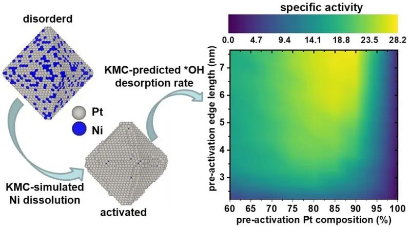 Constructing "component-size" catalytic activity contour map of alloy ...