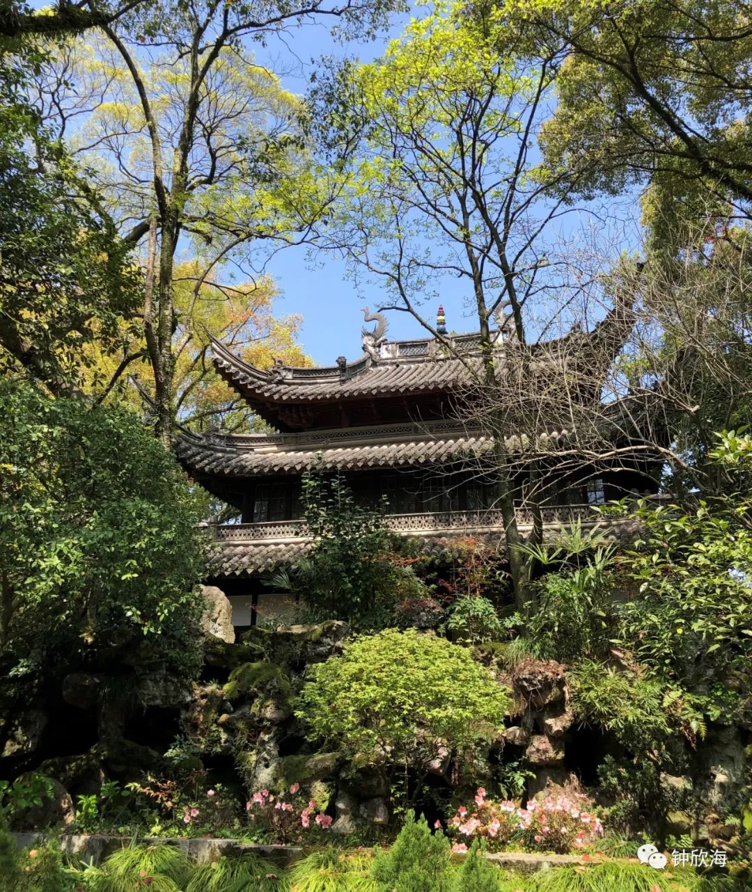Excitement of Tianyi Pavilion, the three oldest private library ...