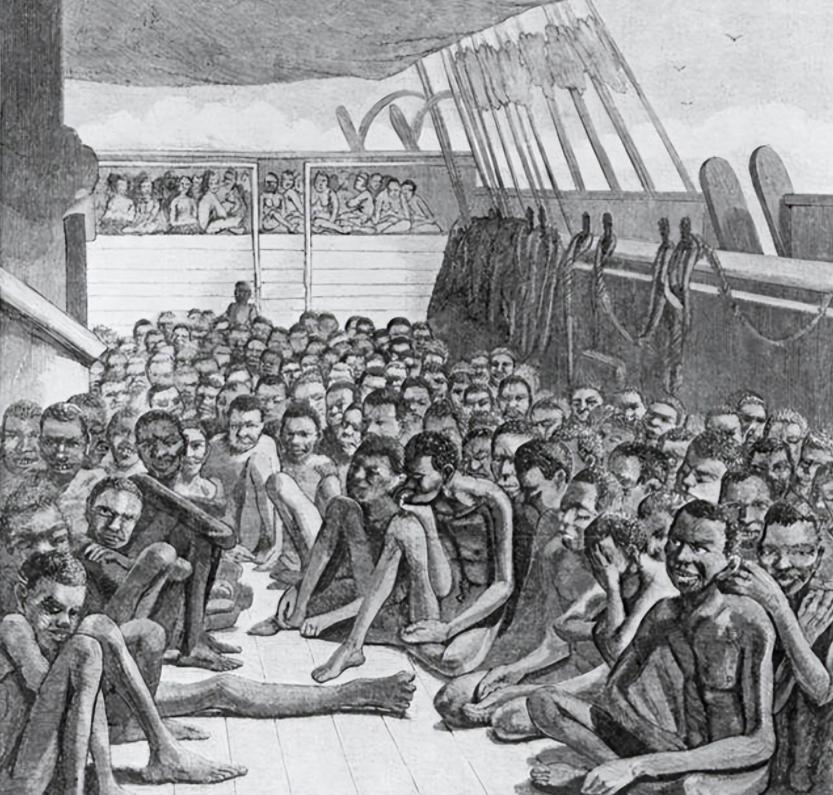 Since the 19th century, the phenomenon of animal vivisection ...