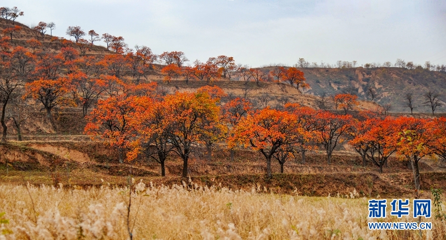 Chongxin: Picturesque Mountains - iNEWS
