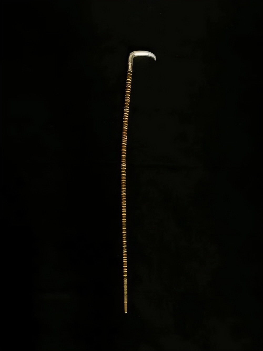 How did the cane tradition evolve and develop in the Alpine Kingdom ...