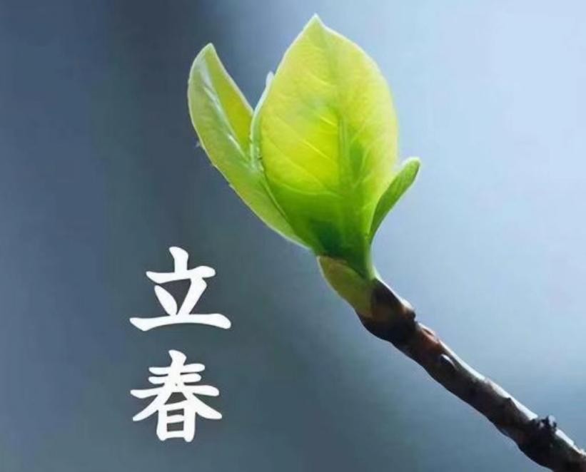 "At the beginning of spring, we should hide from spring and not sleep ...
