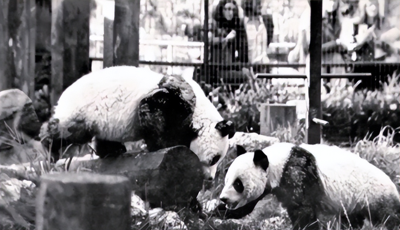 In 1972, Nixon visited China and tentatively proposed to want giant ...